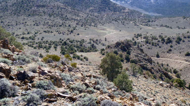 Hercules – Great Basin Resources, Inc