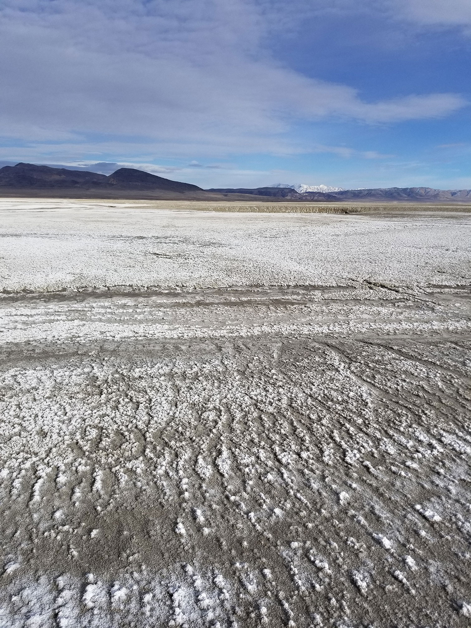 Salt Wells – Great Basin Resources, Inc